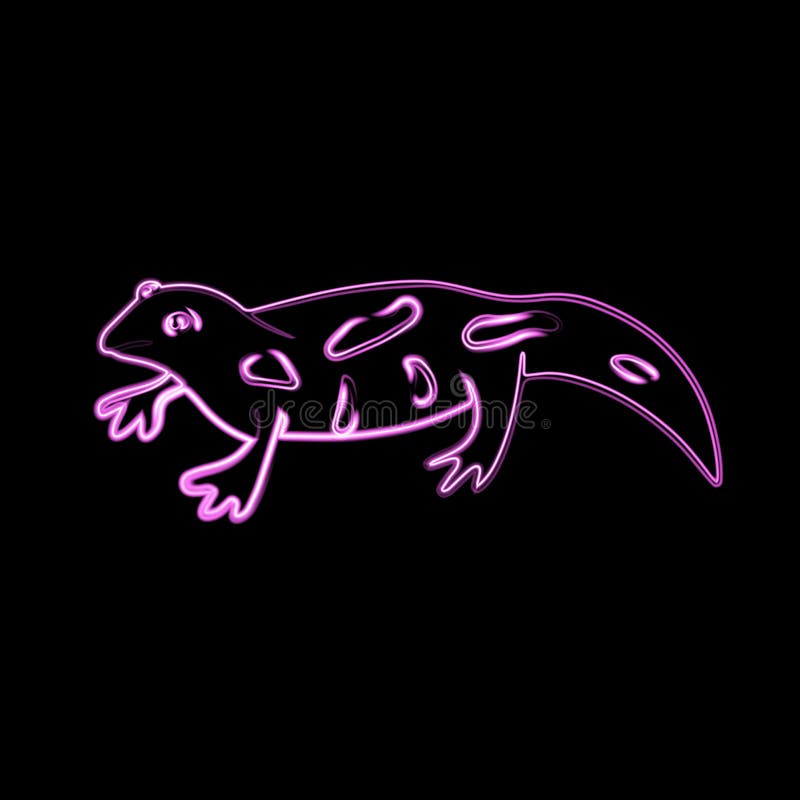 Vector Illustration of Salamander. Stock Vector - Illustration of ...