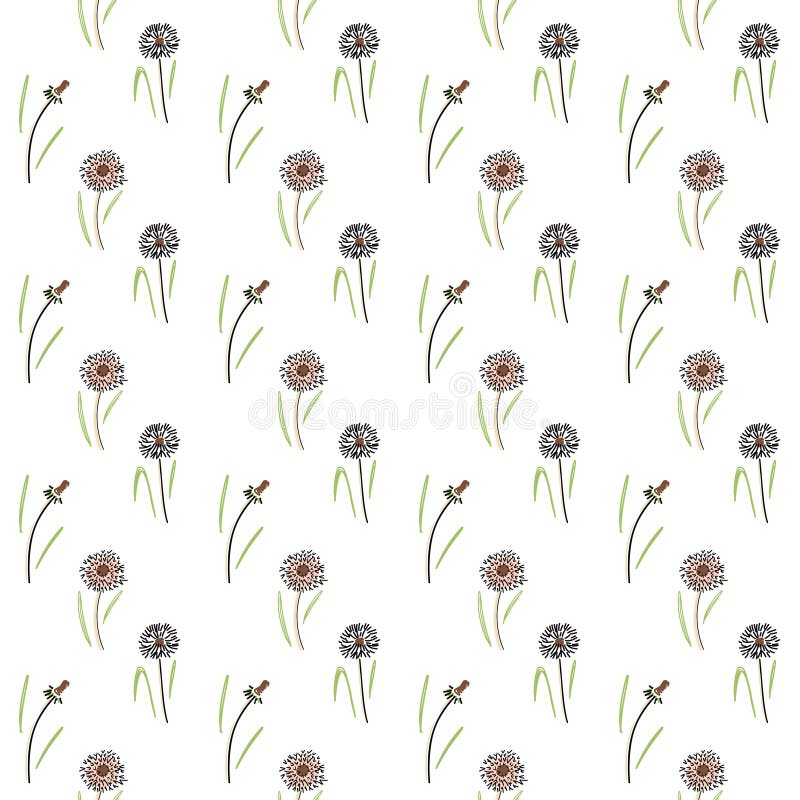 Pattern of Dandelions on White Background Stock Illustration ...