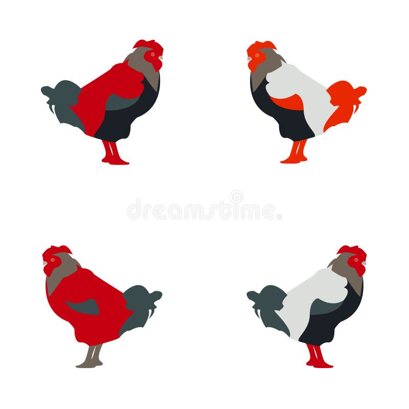 Crowing Rooster Outline Stock Illustrations – 92 Crowing Rooster ...