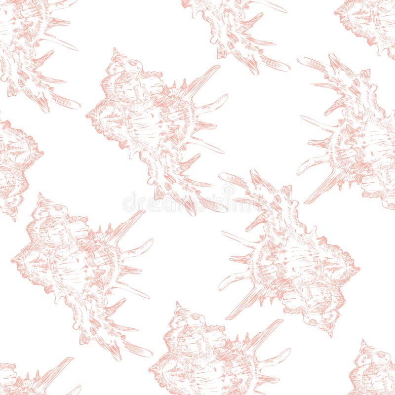 Vector Illustration Seamless Pattern Hand Drawn Pink Seashells Stock ...