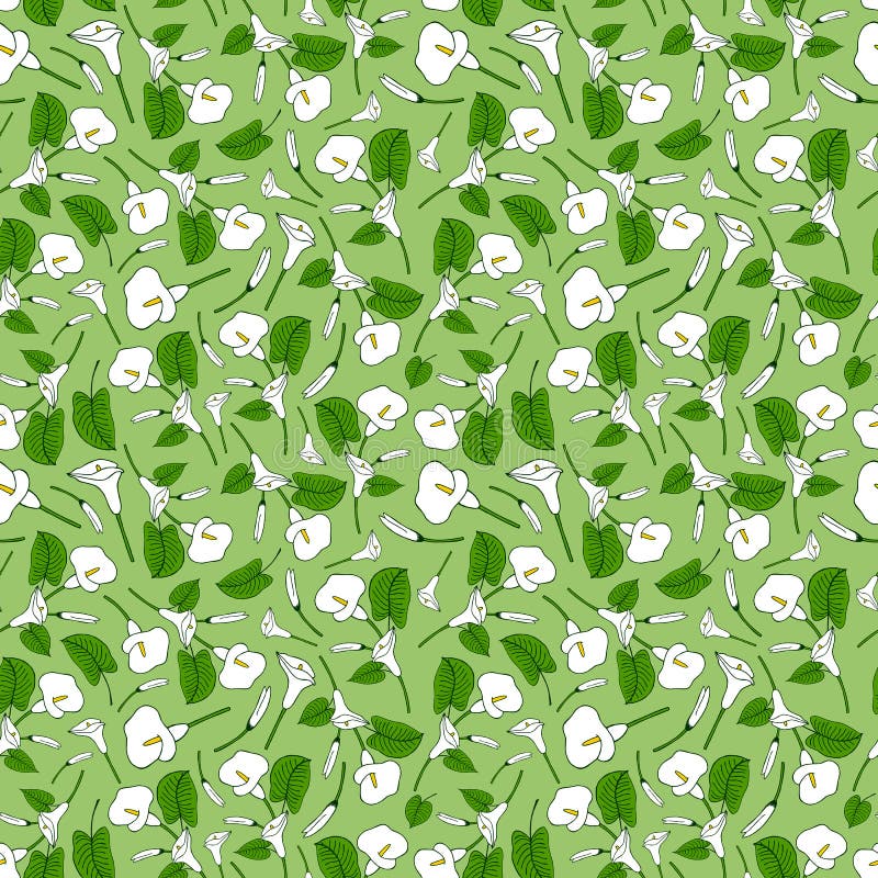 Vector Illustration Eps 10. Seamless Pattern Made from White Calla Lily ...