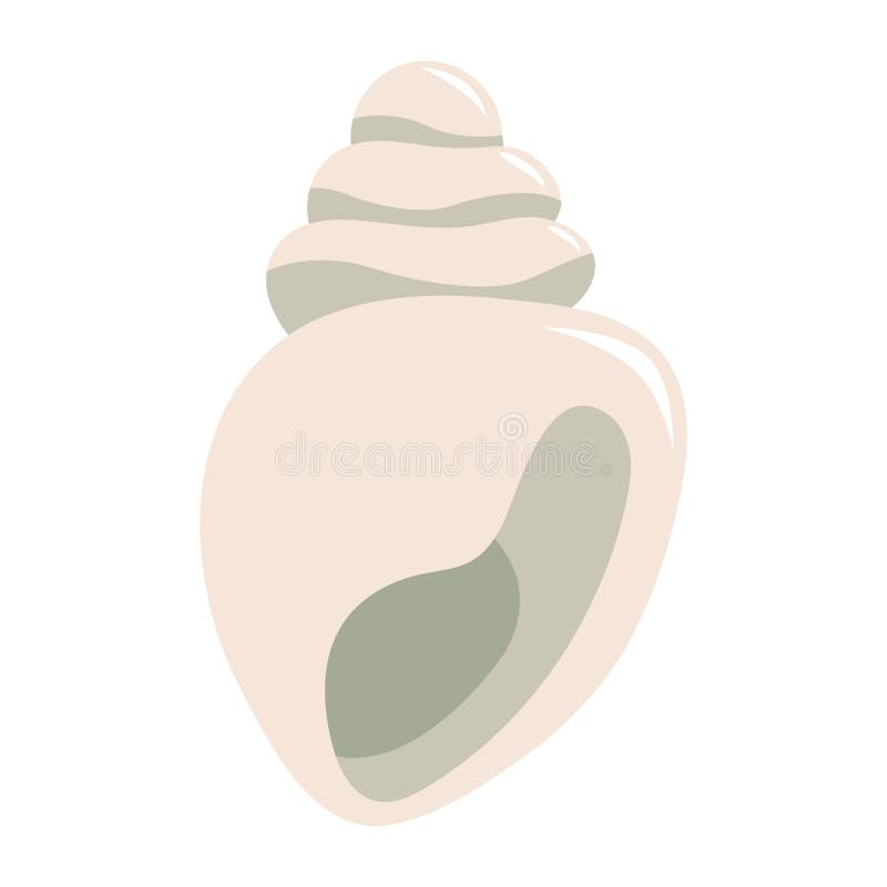 Vector Illustration of Seashell in Cartoon Flat Style. Conch Isolated ...