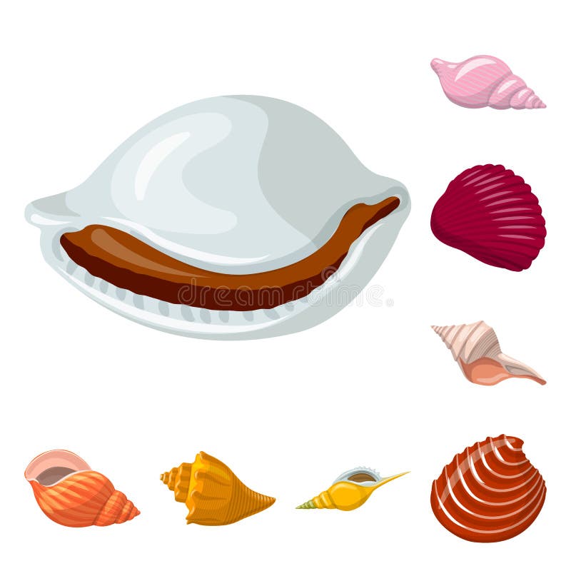 Vector Design Of Seashell And Mollusk Icon. Collection Of Seashell And ...