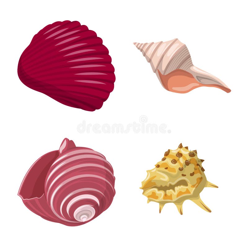 Vector Illustration of Seashell and Mollusk Symbol. Set of Seashell and ...