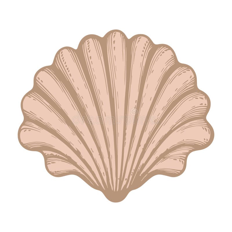 Vector Illustration of Seashell in Retro Style. Stock Vector ...