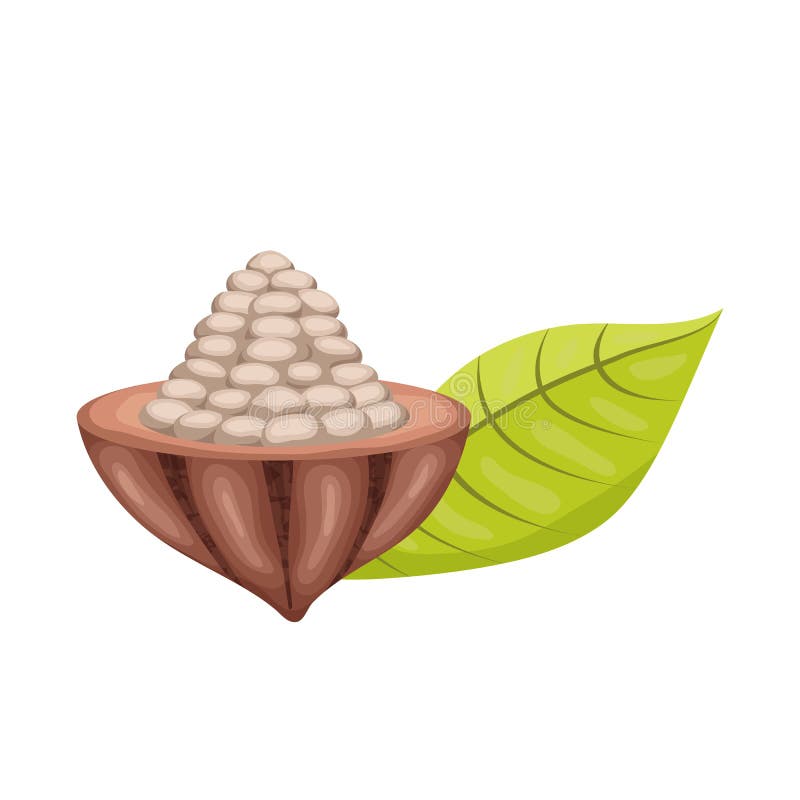 Chocolate Seed Stock Illustrations – 7,273 Chocolate Seed Stock ...