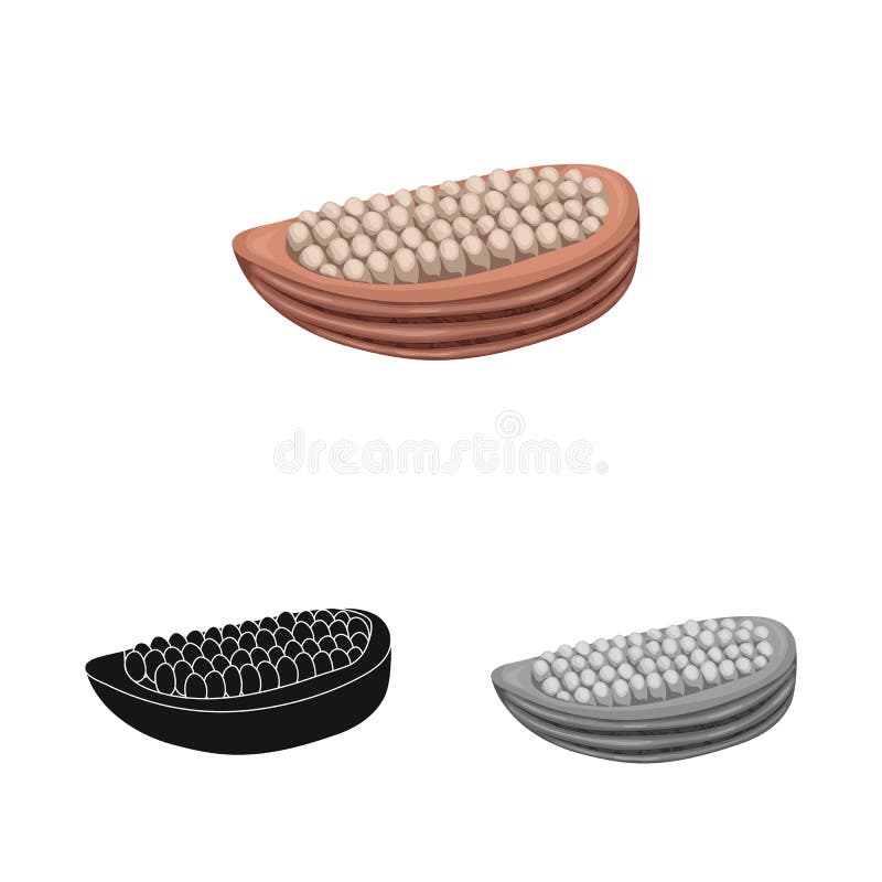 Vector Illustration of Seed and Chocolate Sign. Set of Seed and Fresh ...