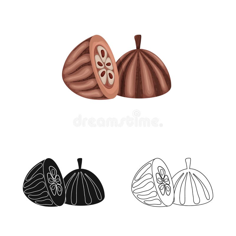 Vector Illustration of Seed and Chocolate Symbol. Set of Seed and Fresh ...