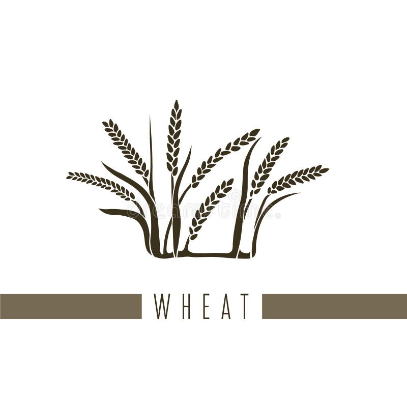 Vector Illustration of a Series of Pictures with Different Flowers. the ...