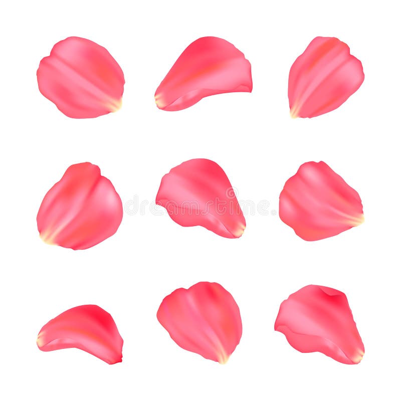 Flower Nine Petals Stock Illustrations – 88 Flower Nine Petals Stock ...