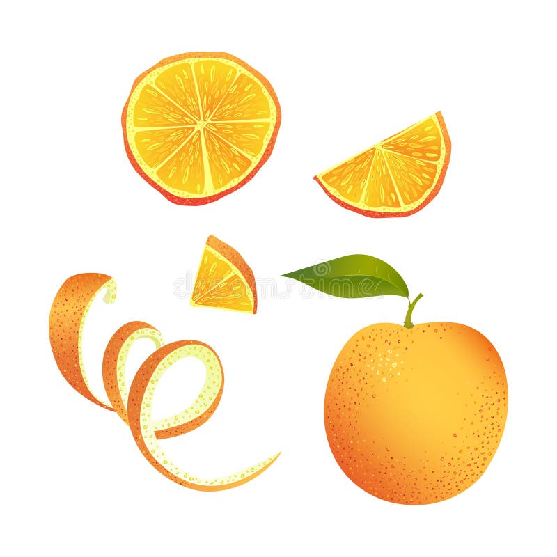 Vector Illustration. Set of Parts of Orange. Stock Vector ...