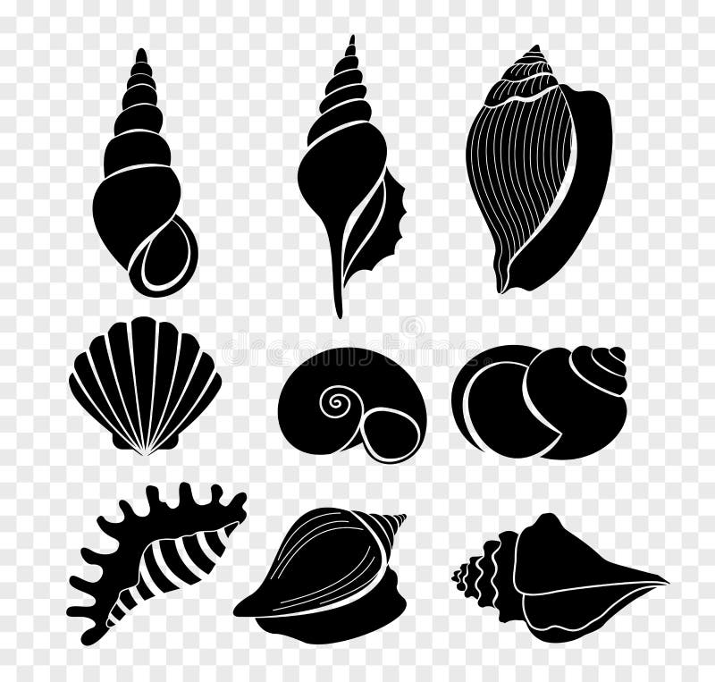 Vector Illustration Set of Seashells Silhouettes on Transparent ...