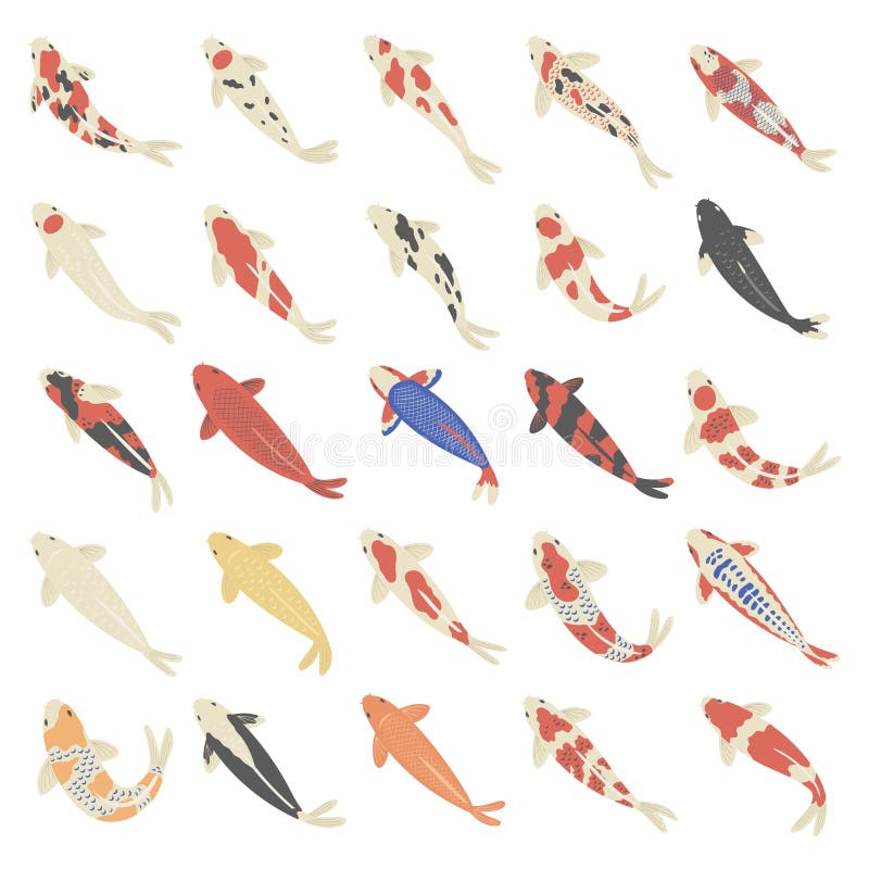 Vector Illustration Set of Top View Koi Fish Stock Illustration ...