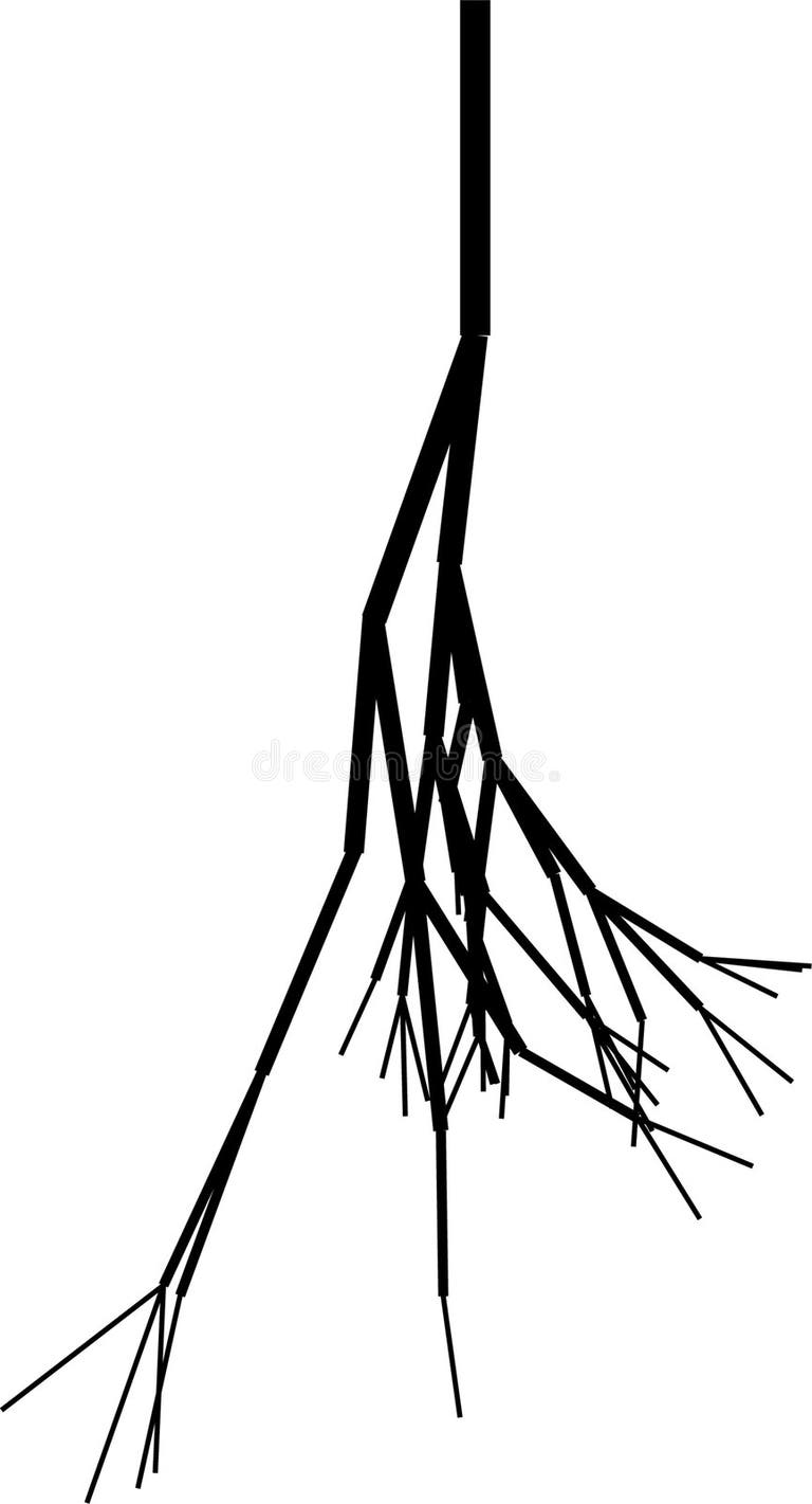 Angled Tree Roots Stock Illustrations – 2 Angled Tree Roots Stock ...