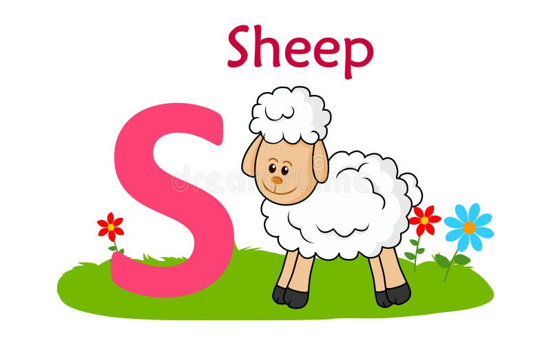 Animal Alphabet S.S for Sheep Stock Vector - Illustration of alphabet ...