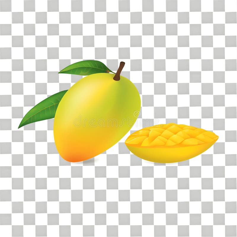 Vibrant Mango Vector Illustration with Slice and Smooth Textures Stock ...