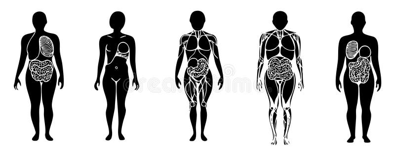 A Vector Illustration Showcasing Silhouettes of Human Bodies with ...