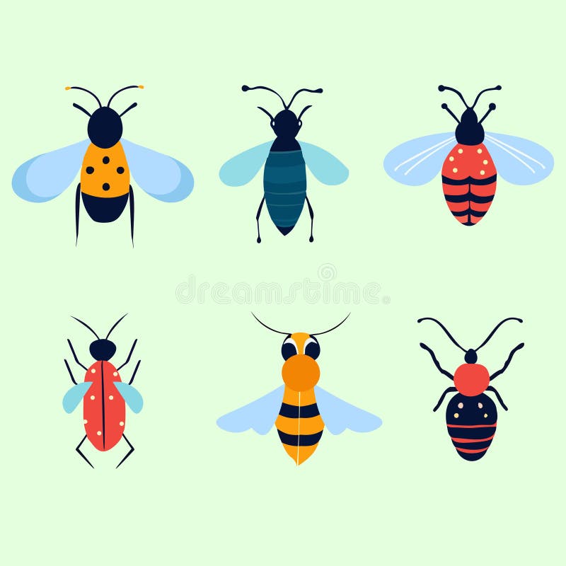 Set of Cute Insects. Isolated Vector Illustration in Flat Style. Stock ...