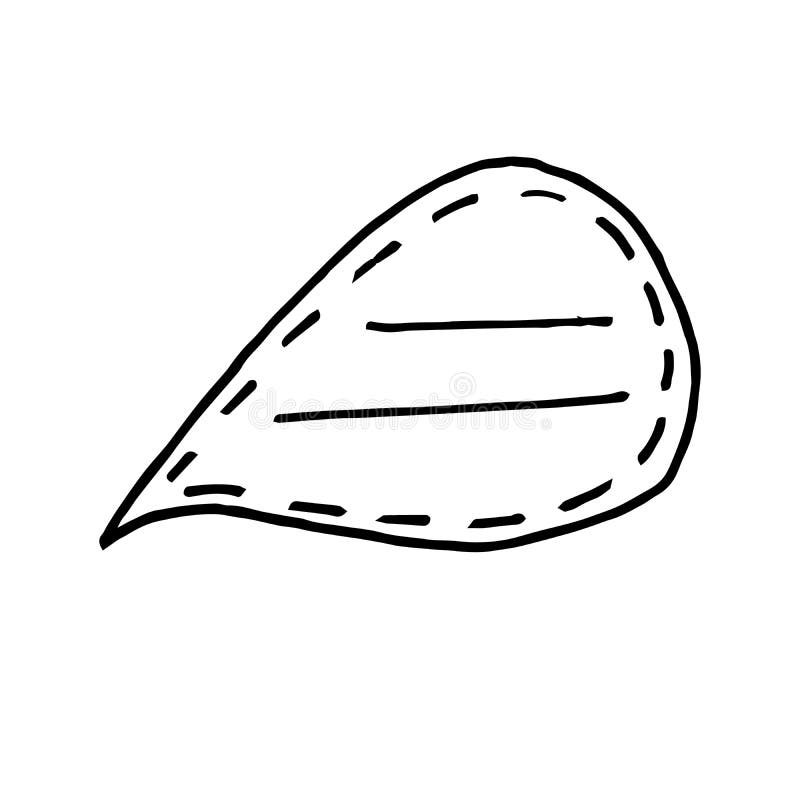 Vector Illustration Signature Form Doodle Stock Vector - Illustration ...