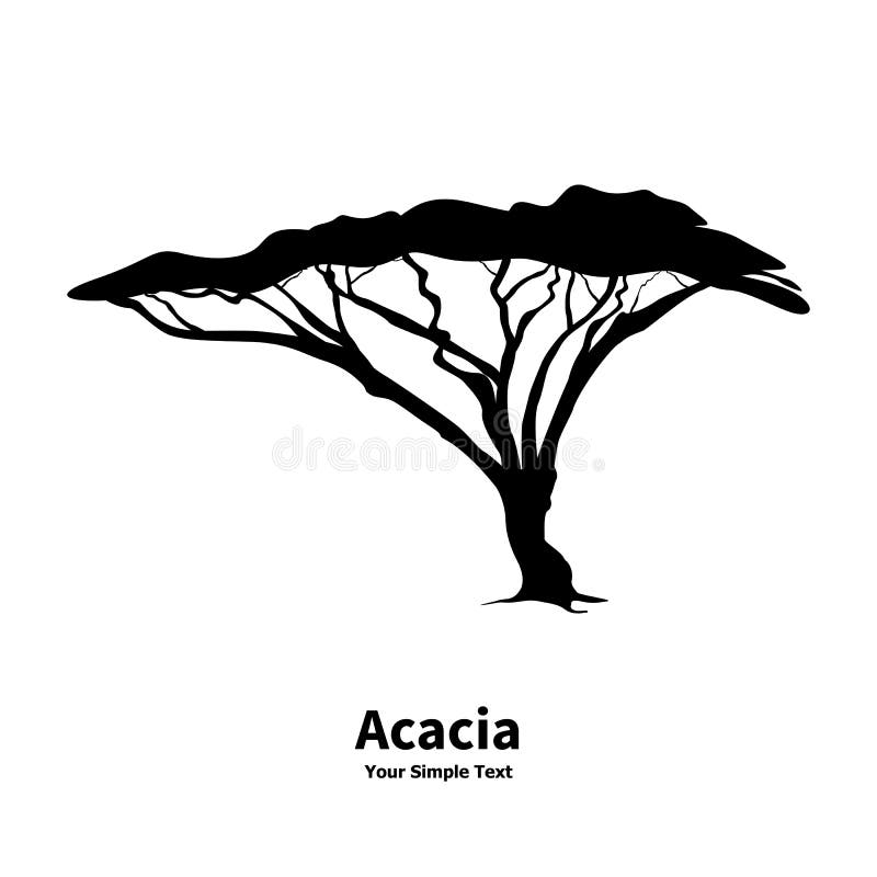 Acacia Tree Stock Illustrations – 5,269 Acacia Tree Stock Illustrations ...