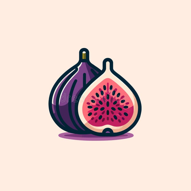 Vector Illustration of a Simple Fig Stock Vector - Illustration of ...