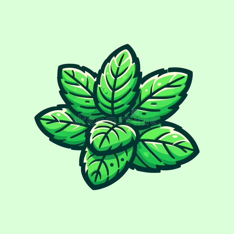 Vector Illustration of Simple Mint Stock Vector - Illustration of ...