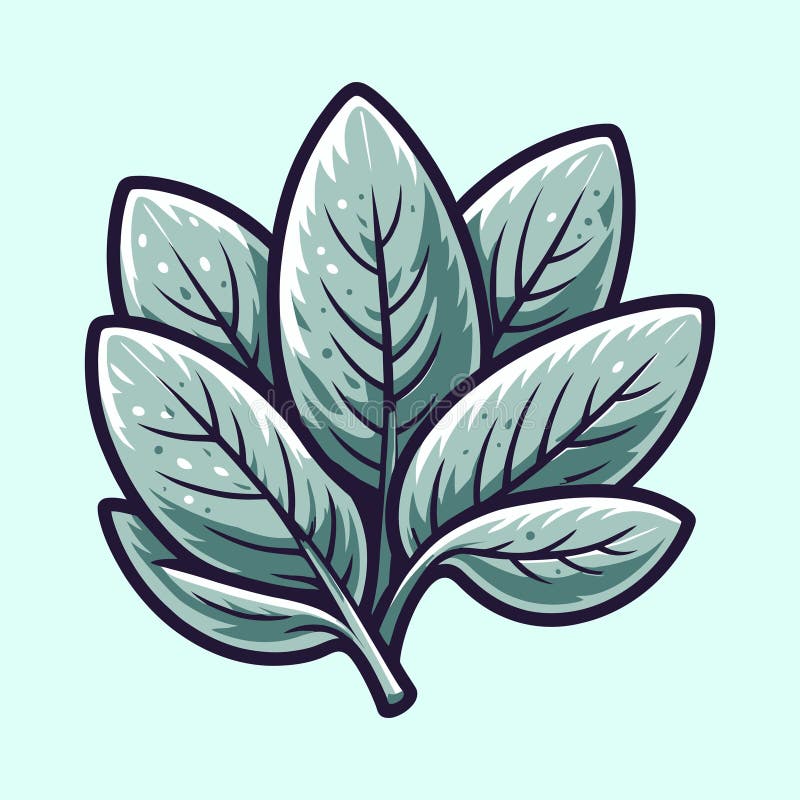 Vector Illustration of Simple Sage Stock Vector - Illustration of ...