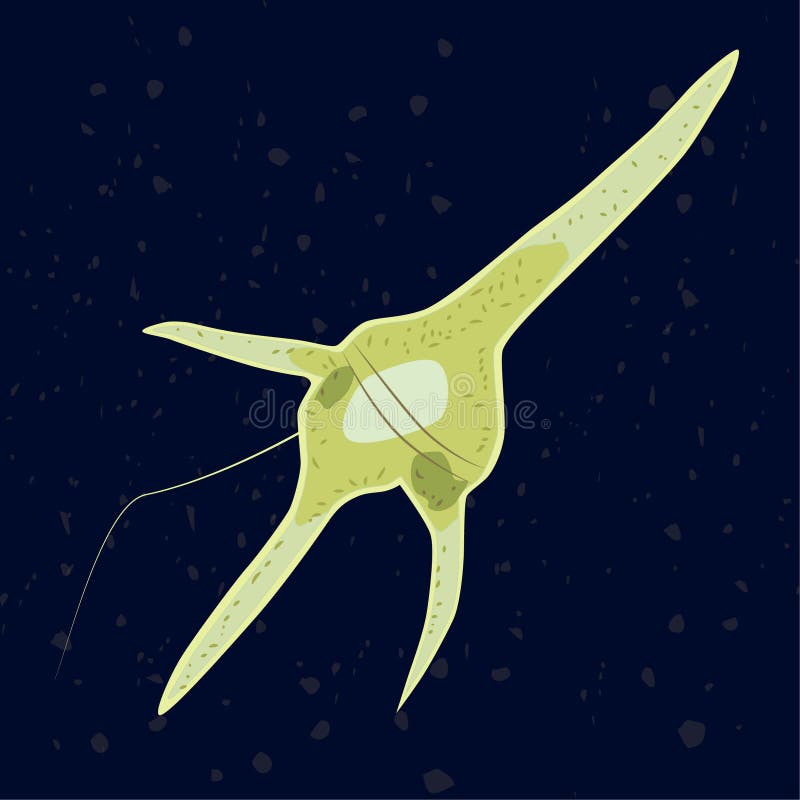 Protozoa Stock Illustrations – 1,112 Protozoa Stock Illustrations ...