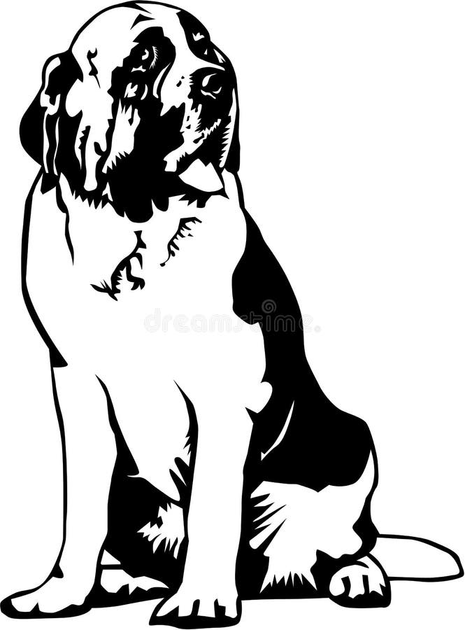 Saint Bernard Vector Illustration Stock Vector - Illustration of ...