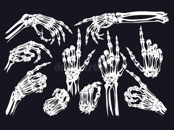 Vector Illustration of Skeleton Hand Gestures in Various Poses on a ...