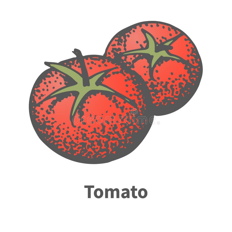 Tomato Contour Stock Illustrations – 10,633 Tomato Contour Stock ...