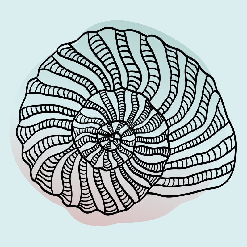 Vector Illustration in Sketch Style. Sea Shell Pattern Stock ...
