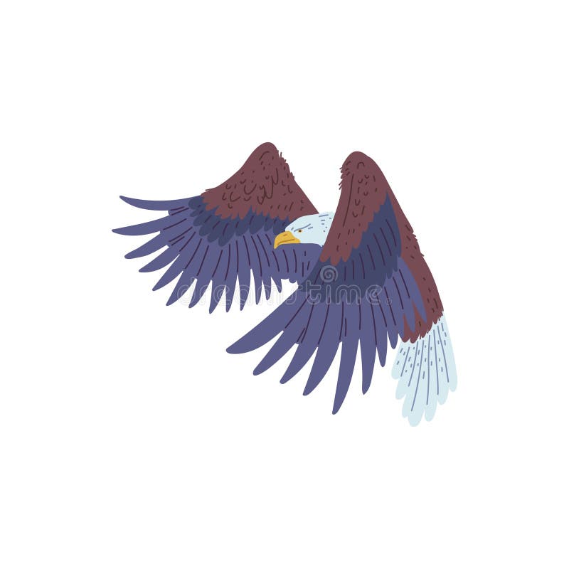 Vector Illustration of a Soaring Bald Eagle for Design Projects. Stock ...