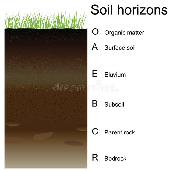 Soil Organic Matter Stock Illustrations – 6,058 Soil Organic Matter ...