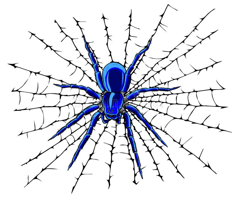 Vector Illustration of a Spider and a Web Stock Vector - Illustration ...