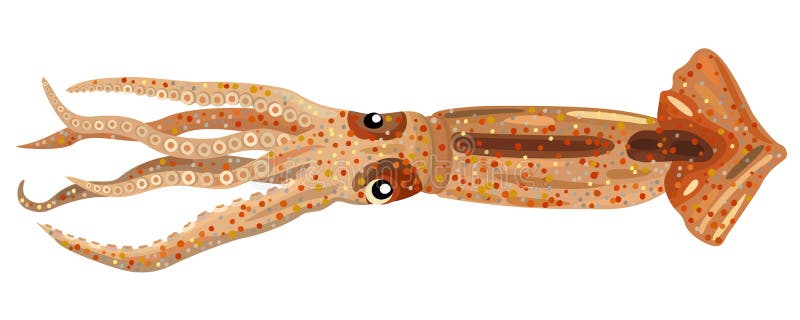 Yellow Squid Pattern Stock Illustrations – 130 Yellow Squid Pattern ...