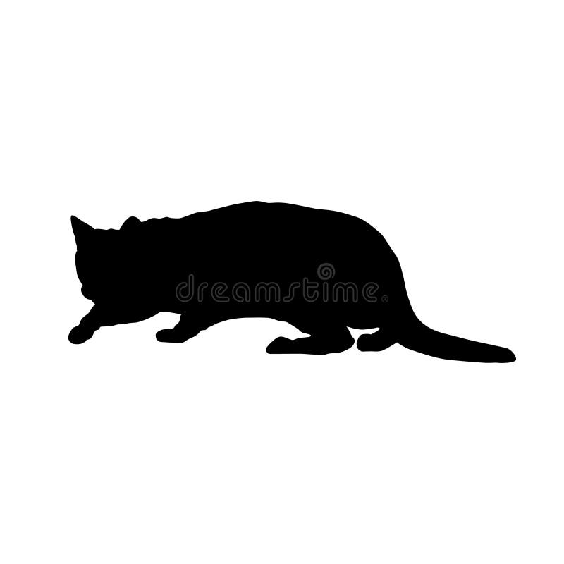 Stalking cat silhouette stock vector. Illustration of stalking - 162373498