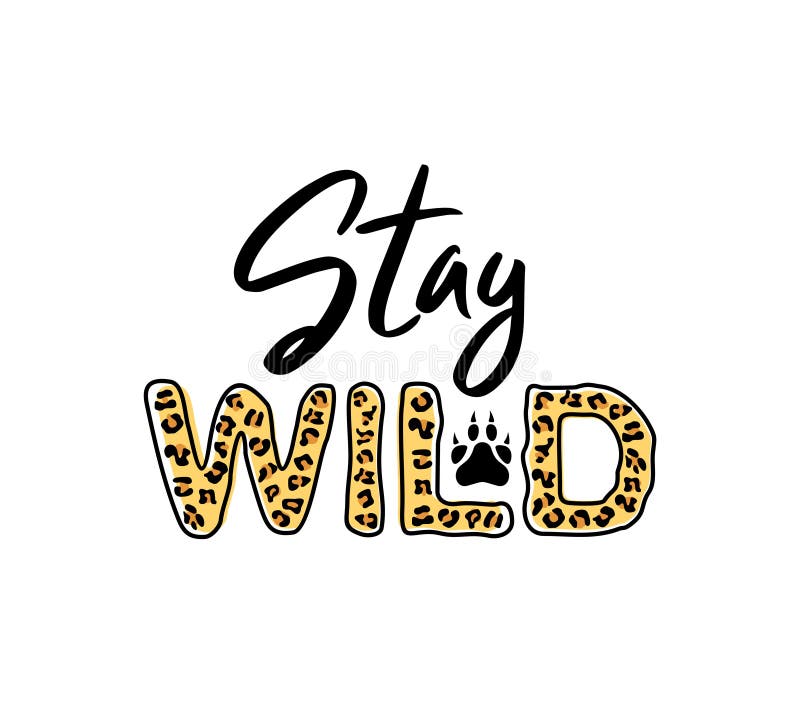 Stay wild sign stock vector. Illustration of drawn, design - 237442015