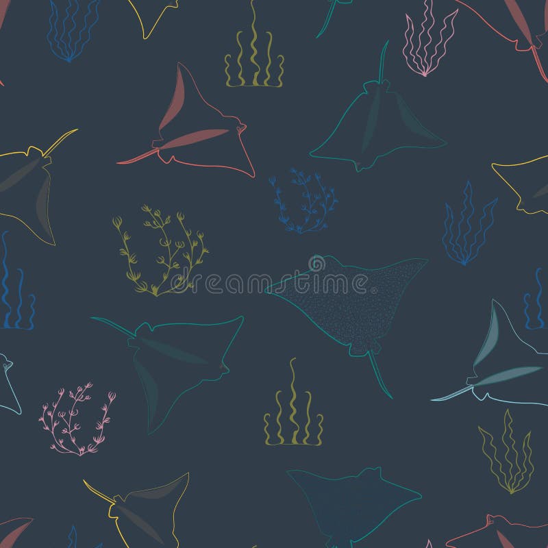 Vector Illustration of Stylized Colourful, Stingray Outlines Stock ...