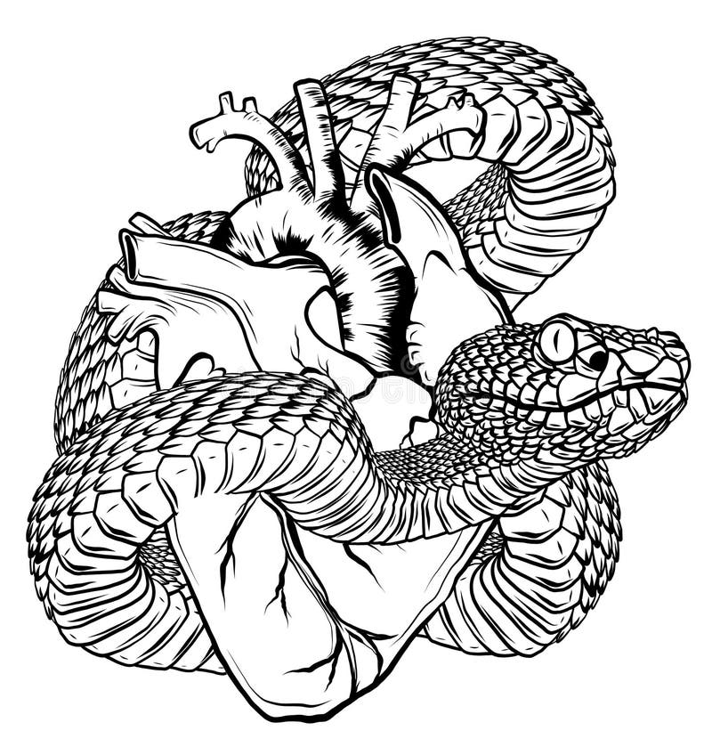 Snake and Heart Tattoo. Symbol of Love, Envy, Evil T-shirt Design ...