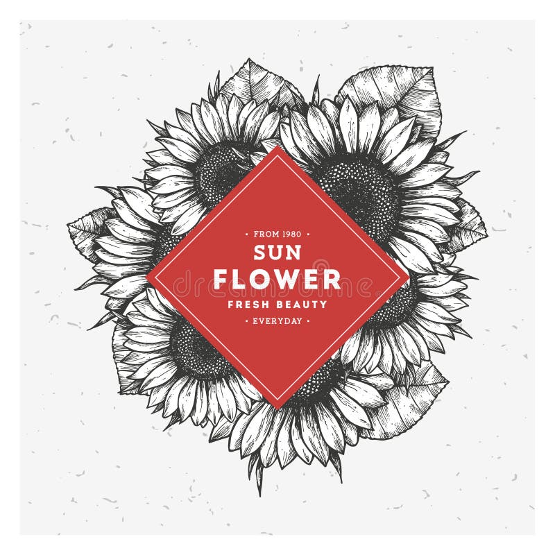 Sunflower Design Template. Sunflower Composition. Vector Illustration ...