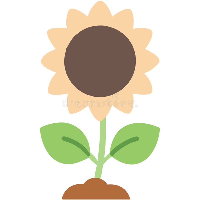 Vector Illustration Sunflower Plant Growth Simple Design Stock ...