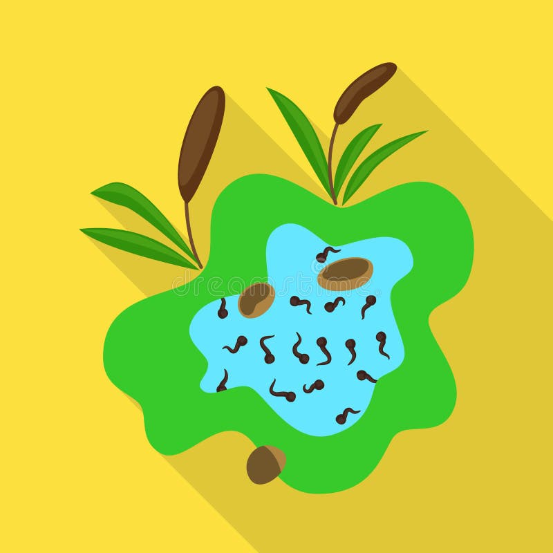 Vector Design of Swamp and Environment Icon. Set of Swamp and Aqua ...