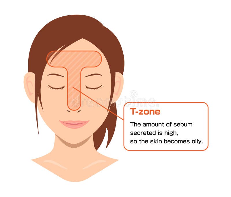 Vector Illustration of T-zone of Female Face Stock Vector ...
