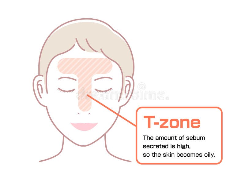 Vector Illustration of T-zone of Female Face Stock Vector ...