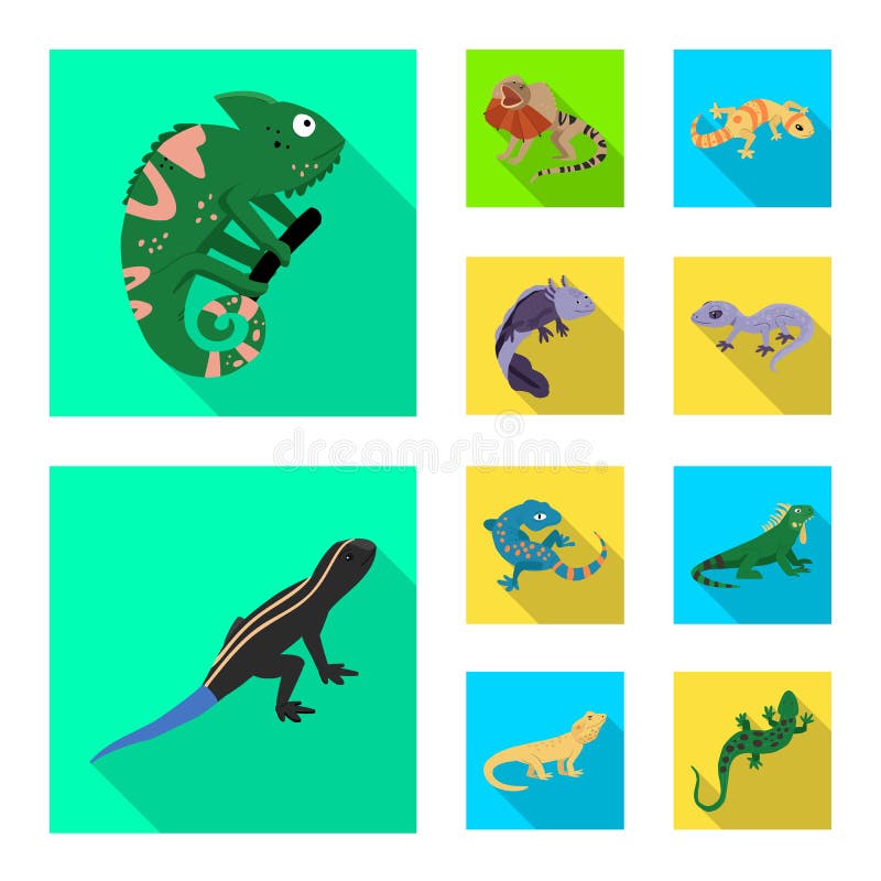 Vector Illustration of Tail and Fauna Symbol. Set of Tail and ...