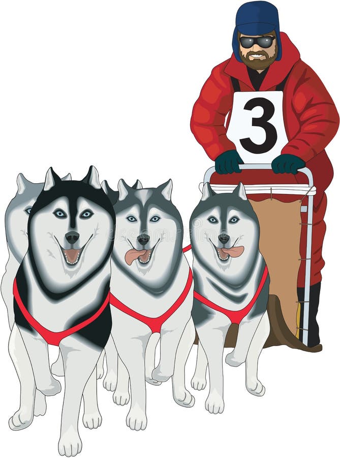 Sled Racing Dogs from Two Siberian Huskies Stock Vector - Illustration ...