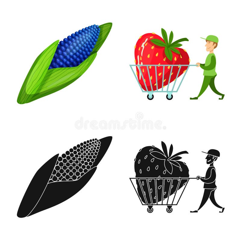Vector Design of Test and Synthetic Logo. Collection of Test and ...