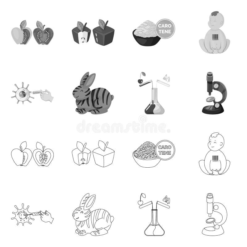 Vector Design of Test and Synthetic Icon. Set of Test and Laboratory ...