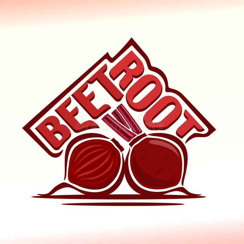 Vector Illustration on the Theme of Beetroot Stock Vector ...